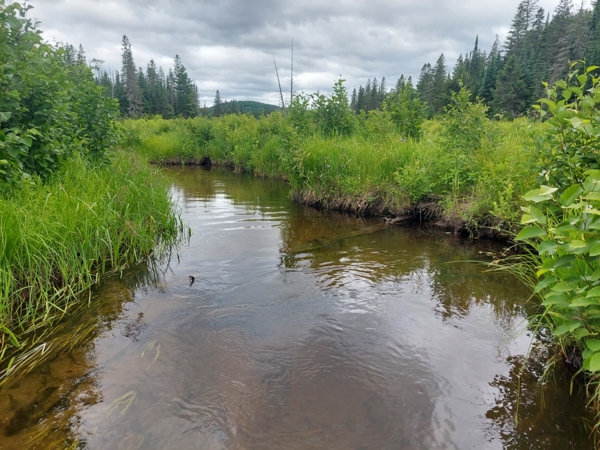 Engage Engineering - Civil Engineering